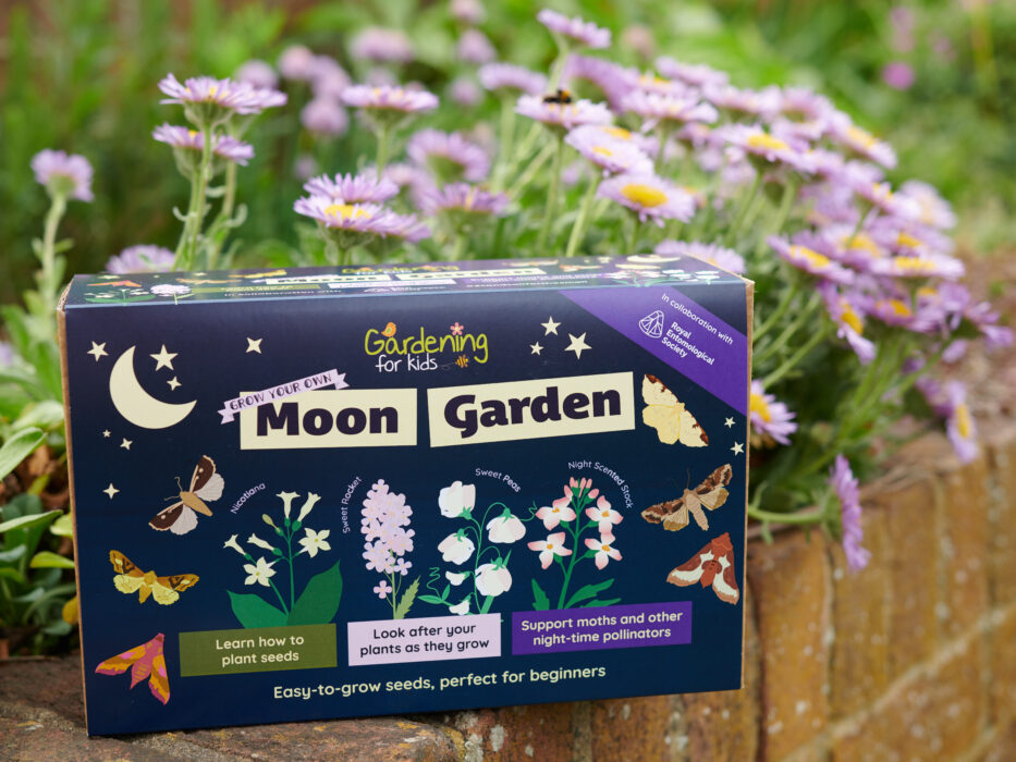 Royal Entomological Society launches a magical Moon Garden kit ahead of ...